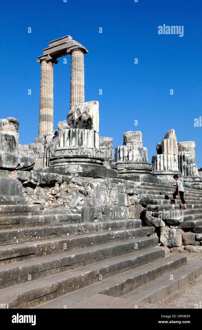 Turkey, province of Aydin, Didim, archaeological site of Dydimes, the ...