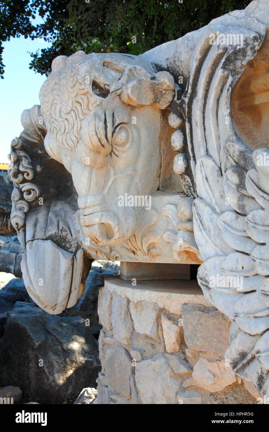 Turkey, province of Aydin, Didim, archaeological site of Dydimes, the ...