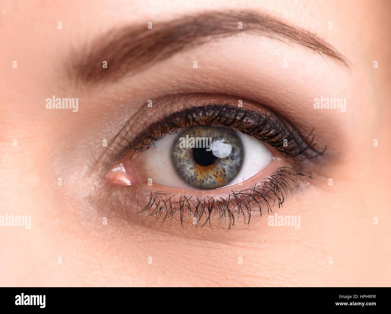 macro of female eye. Human iris close up Stock Photo - Alamy