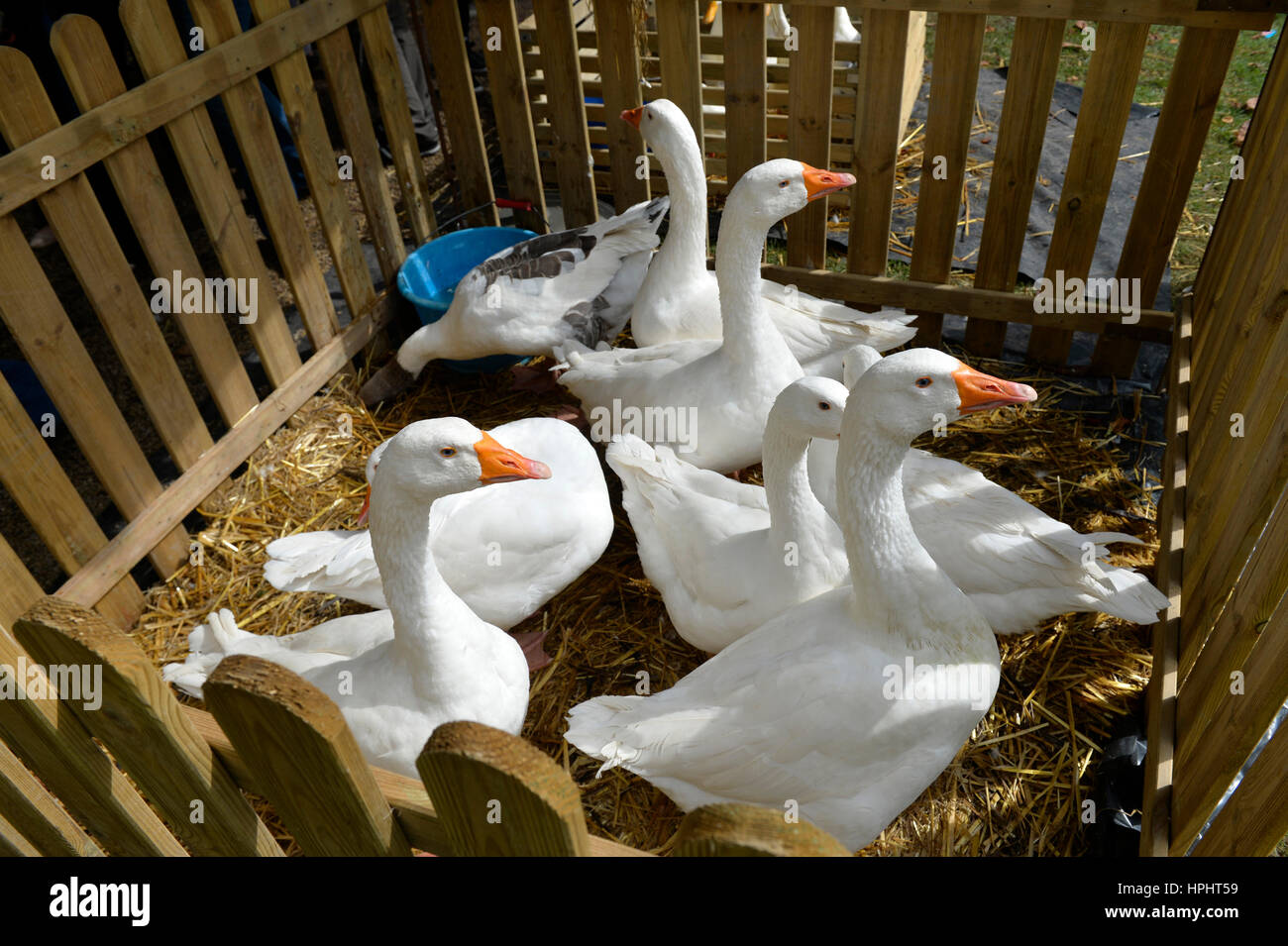 Ministry of agriculture paris hi-res stock photography and images - Alamy