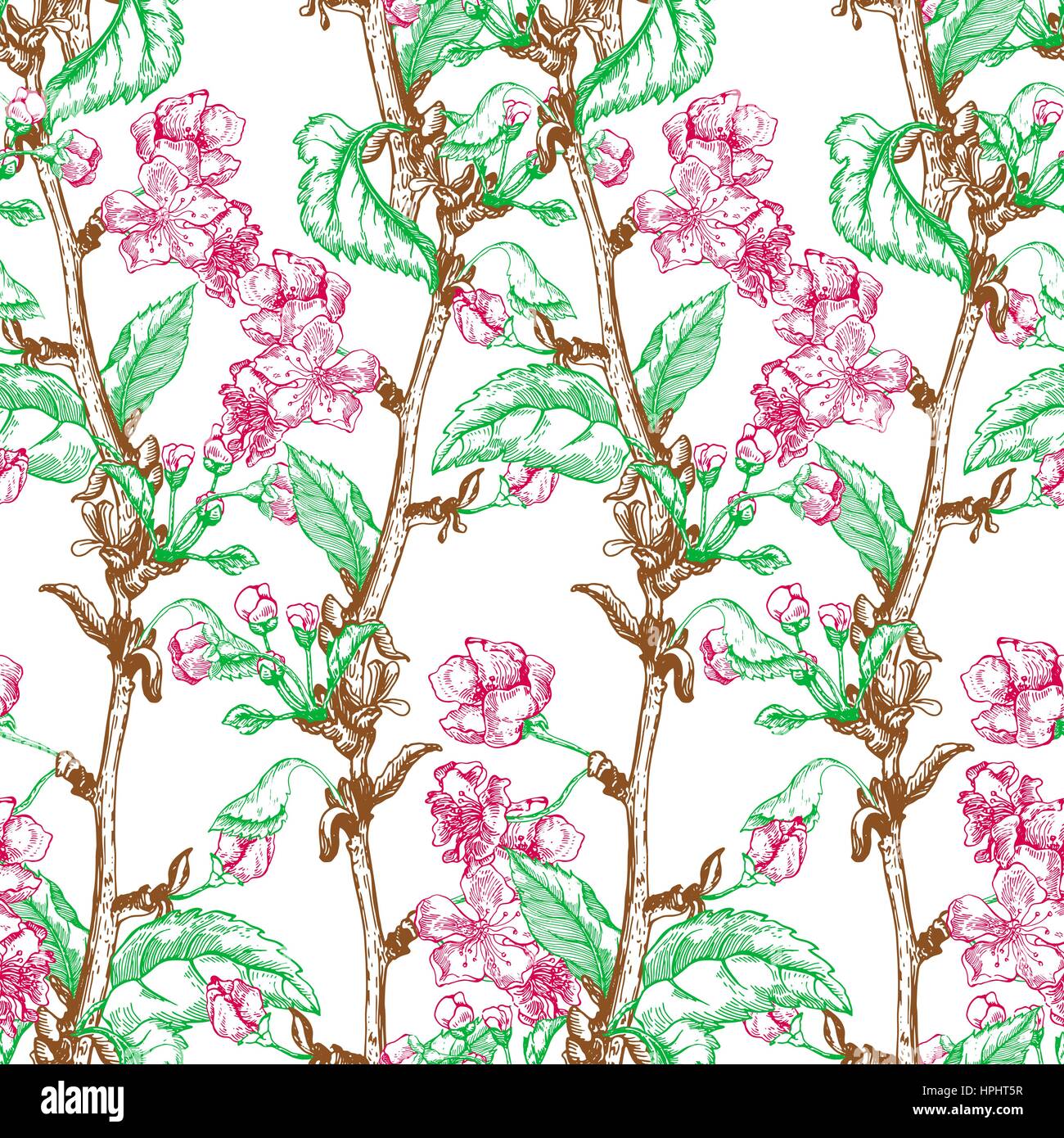 Apple tree sketch Design Stock Vector Image & Art - Alamy