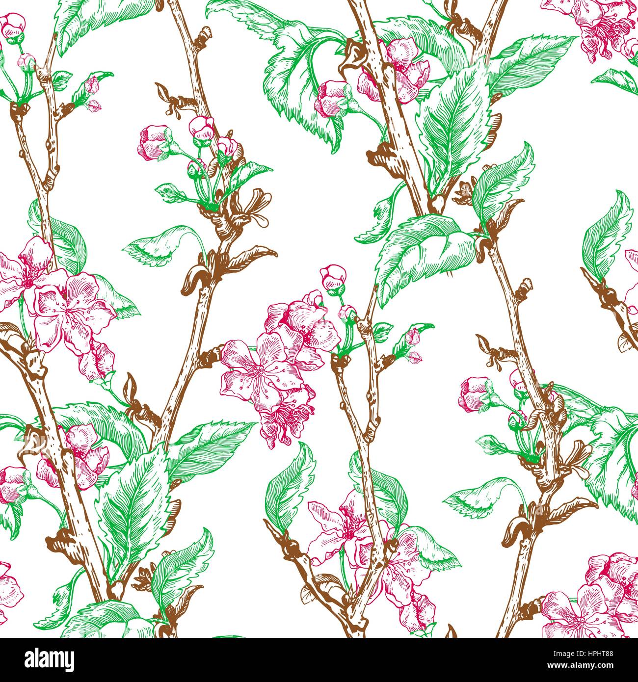 Apple tree sketch Design Stock Vector Image & Art - Alamy