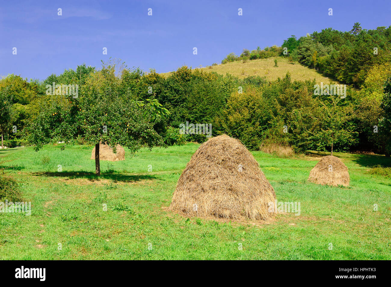 France, Normandy, Eure. Giverny. Haystack Stock Photo - Alamy