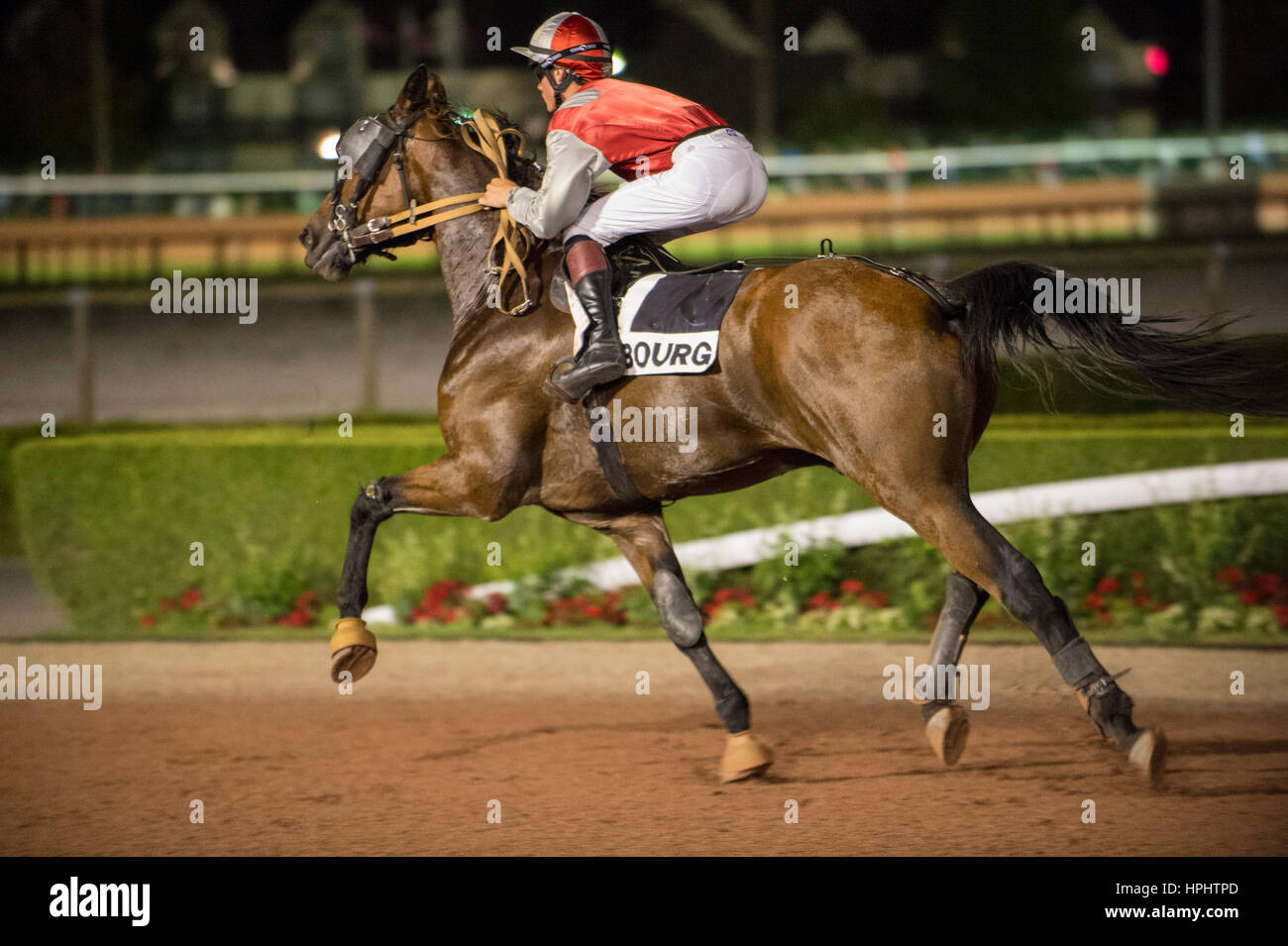 France, Normandy, Calvados, Evening trotting races in Cabourg ...