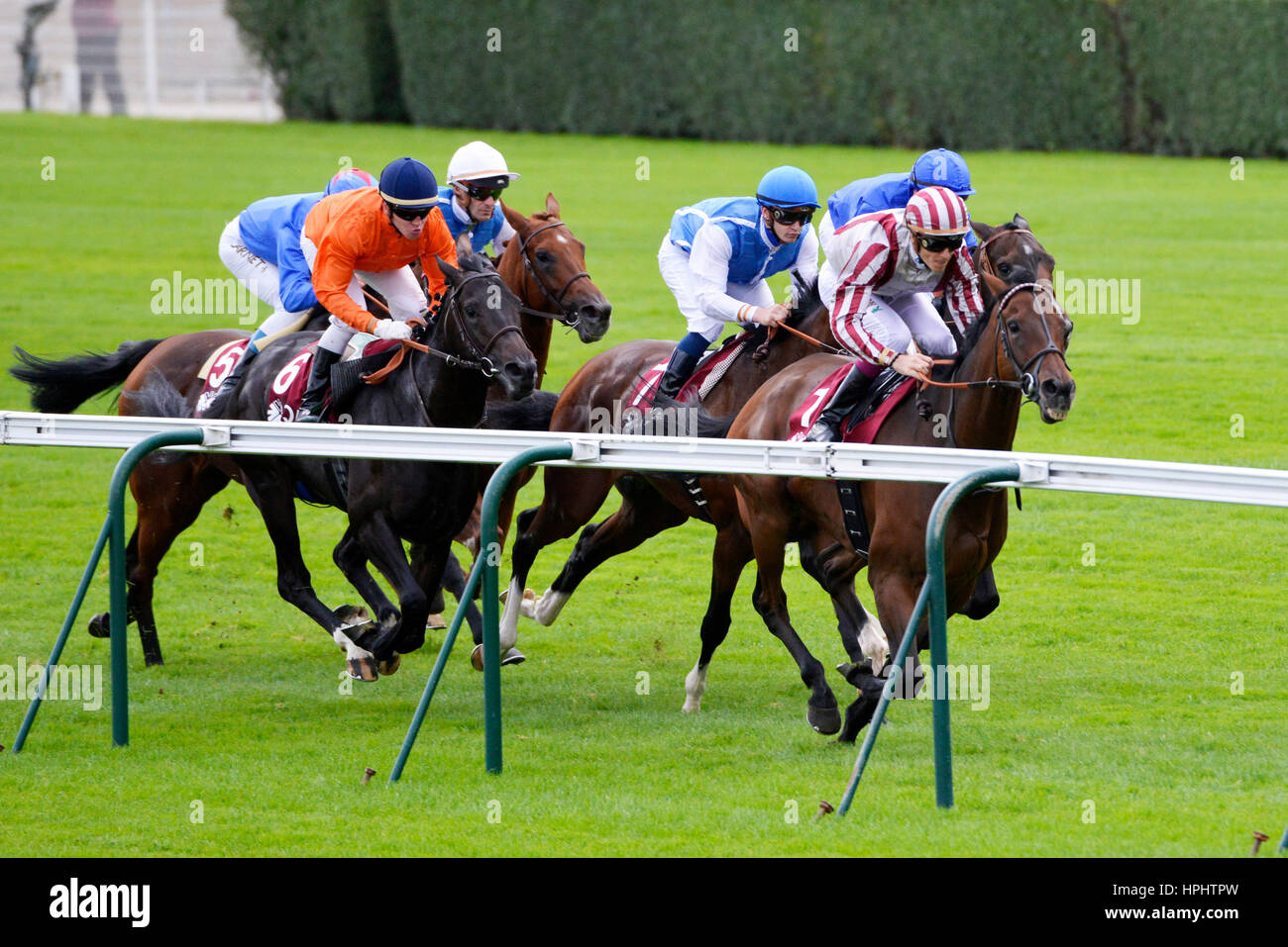 France, Paris 16th district, Longchamp Racecourse, Qatar Prix de l'Arc ...