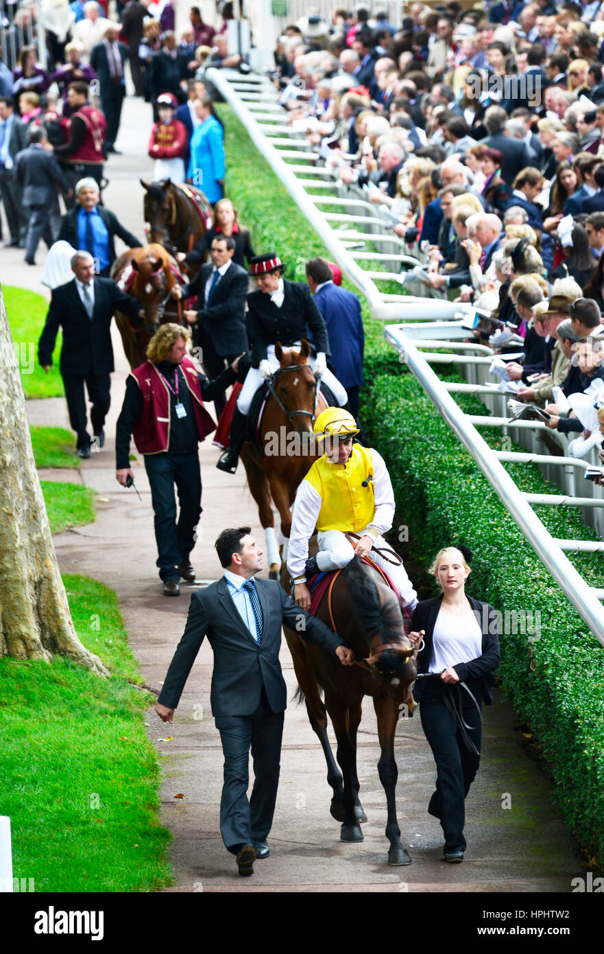 France, Paris 16th district, Longchamp Racecourse, Qatar Prix de l'Arc ...