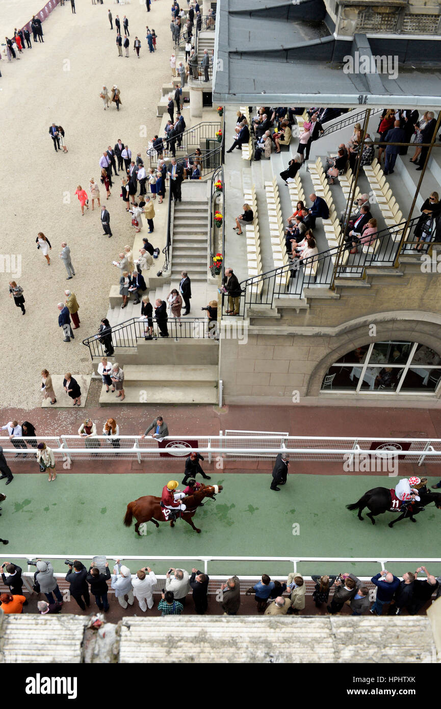 France, Paris 16th district, Longchamp Racecourse, Qatar Prix de l'Arc ...