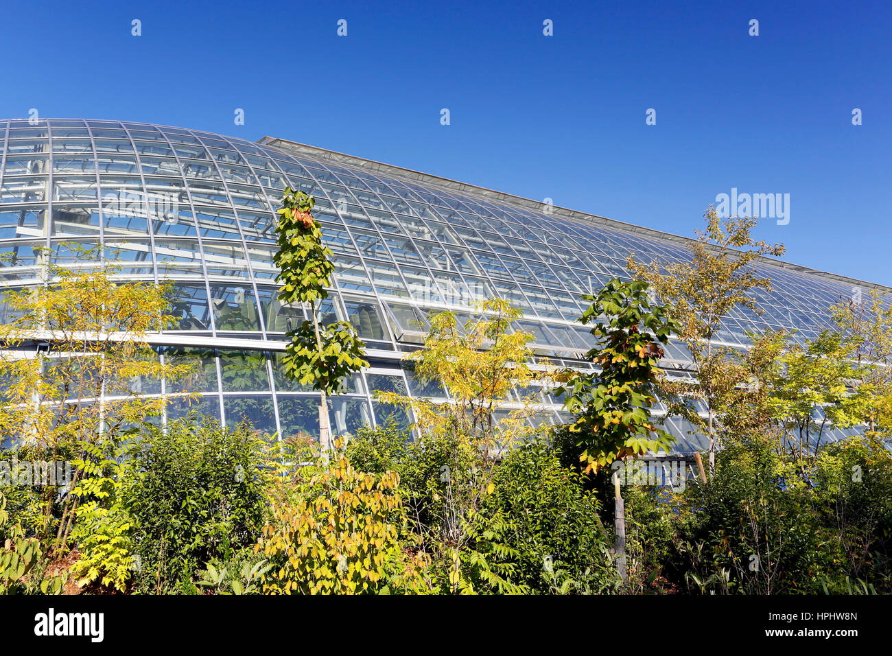 Paris Greenhouse High Resolution Stock Photography and Images - Alamy