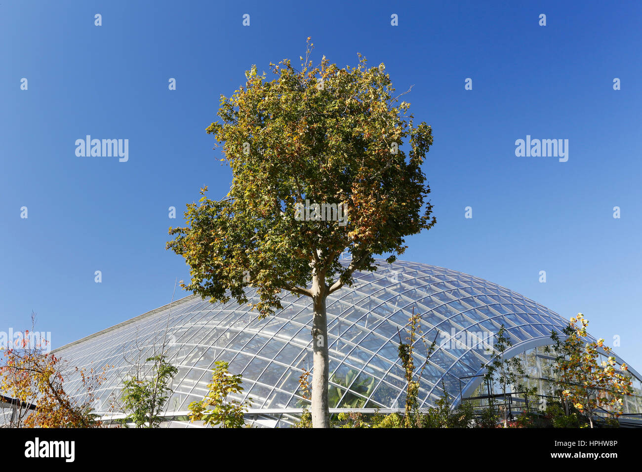 Paris greenhouse hi-res stock photography and images - Alamy