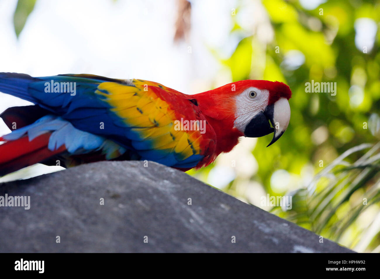 Macau, china paris hi-res stock photography and images - Alamy