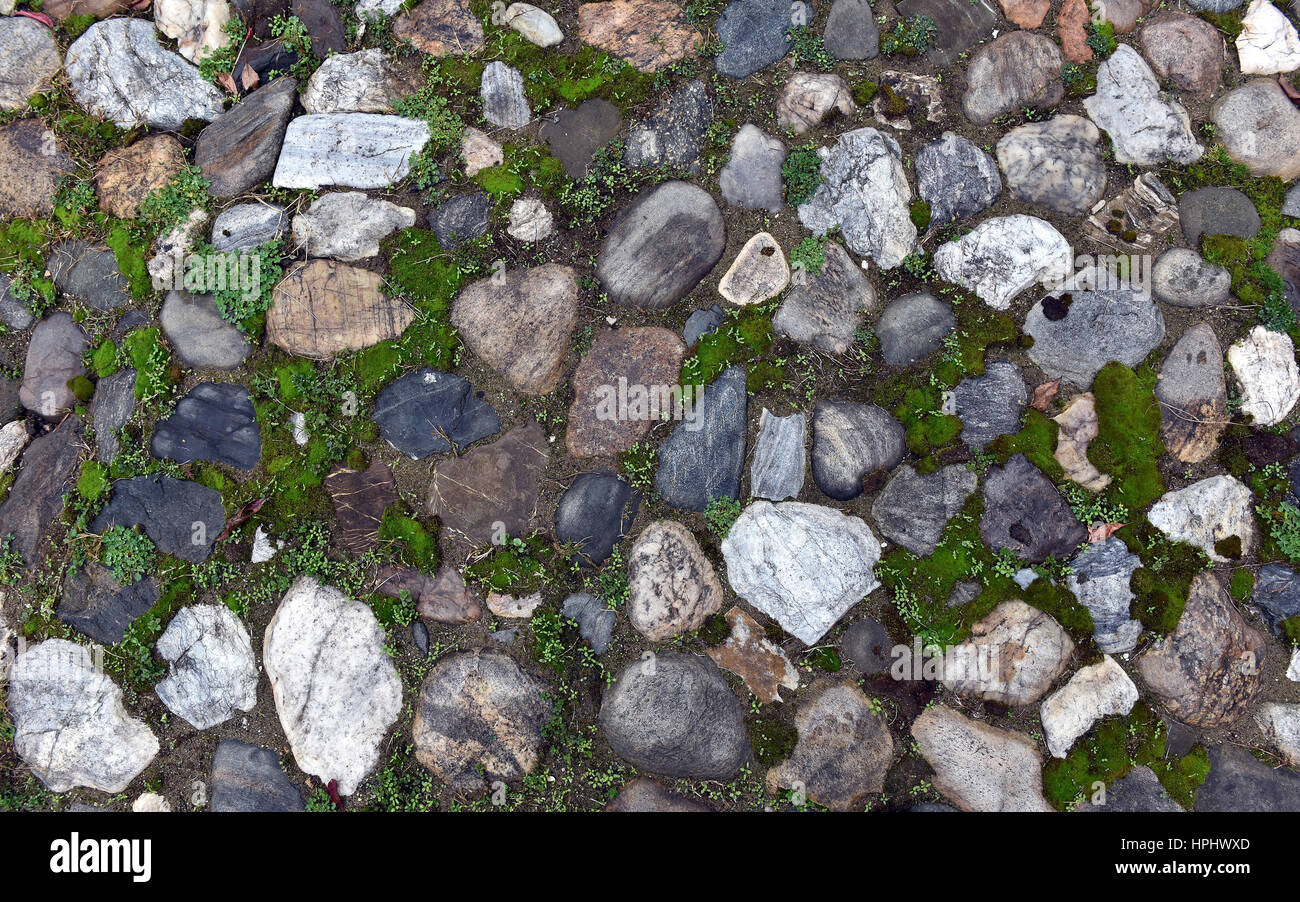 Old cobblestone pavement background with grass Stock Photo - Alamy
