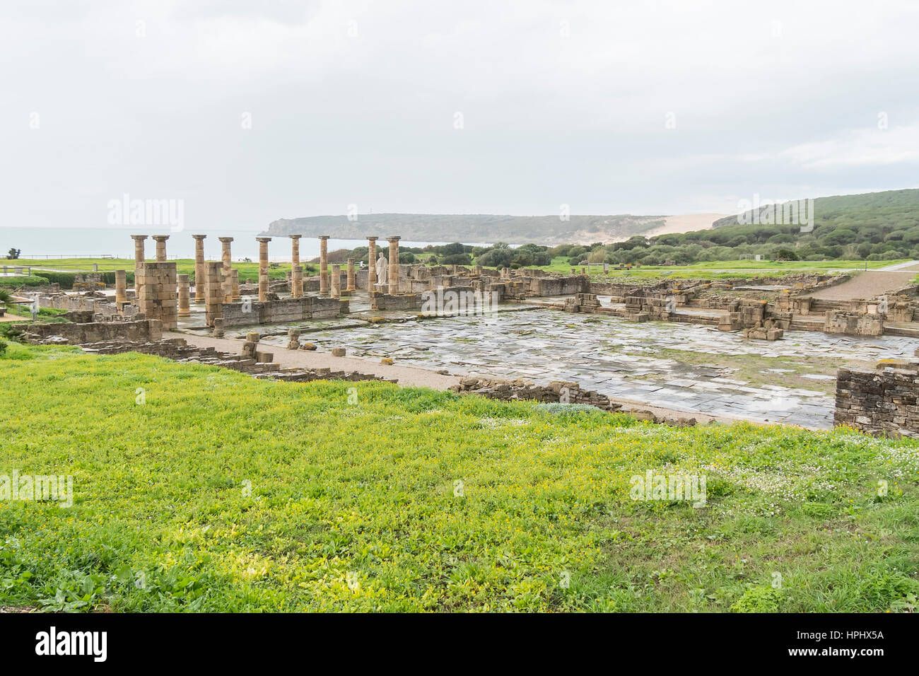 Roma bolonia hi-res stock photography and images - Alamy