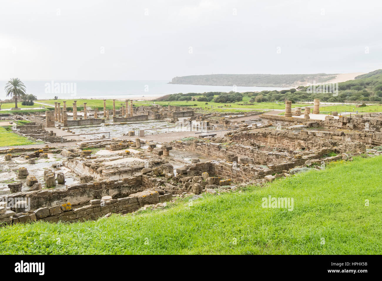 Roma bolonia hi-res stock photography and images - Alamy
