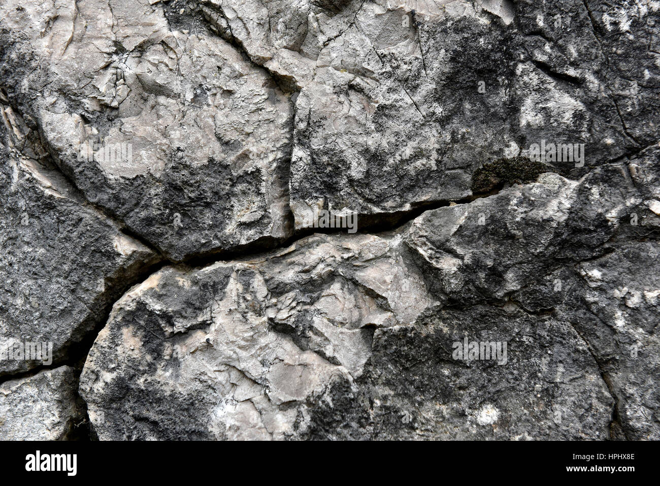 Closeup of a cracked limestone surface. Sedimentary rock Stock Photo ...