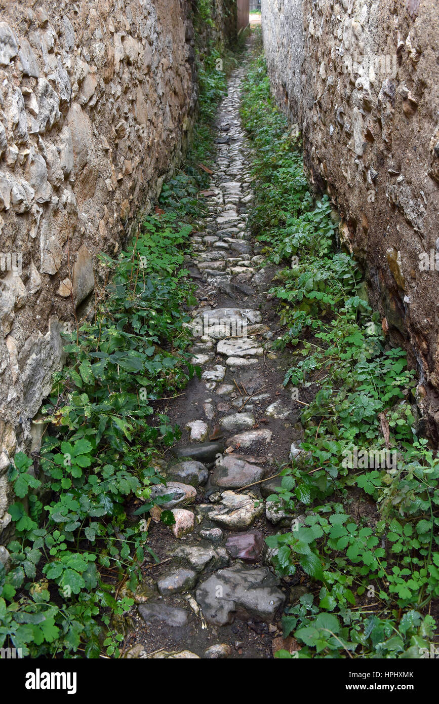 Narrow village alley with stone walls covered with plants. Ruelle Stock ...