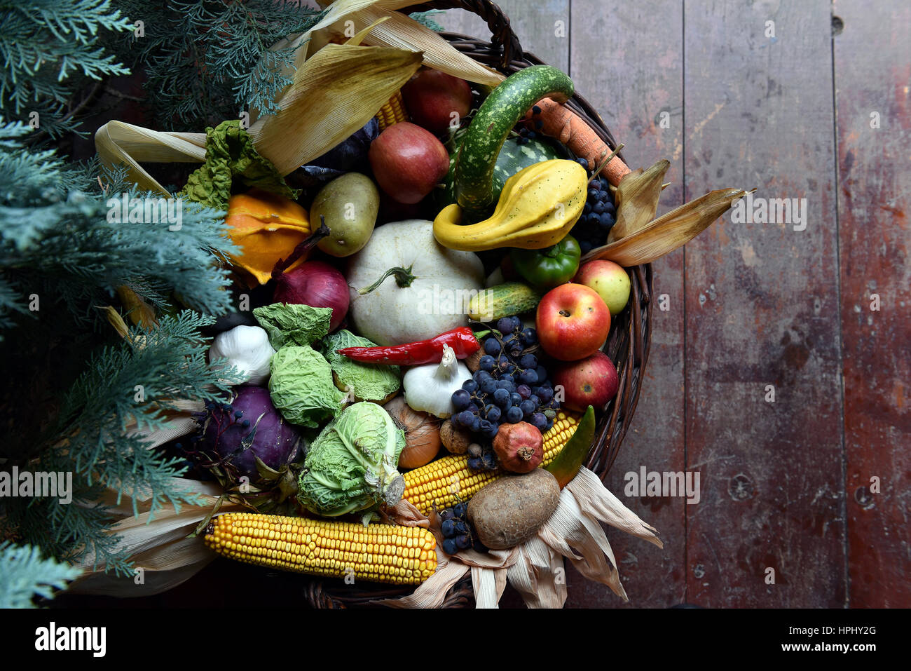 Basket of organic food vegetables, autumn goods after harvest Stock ...