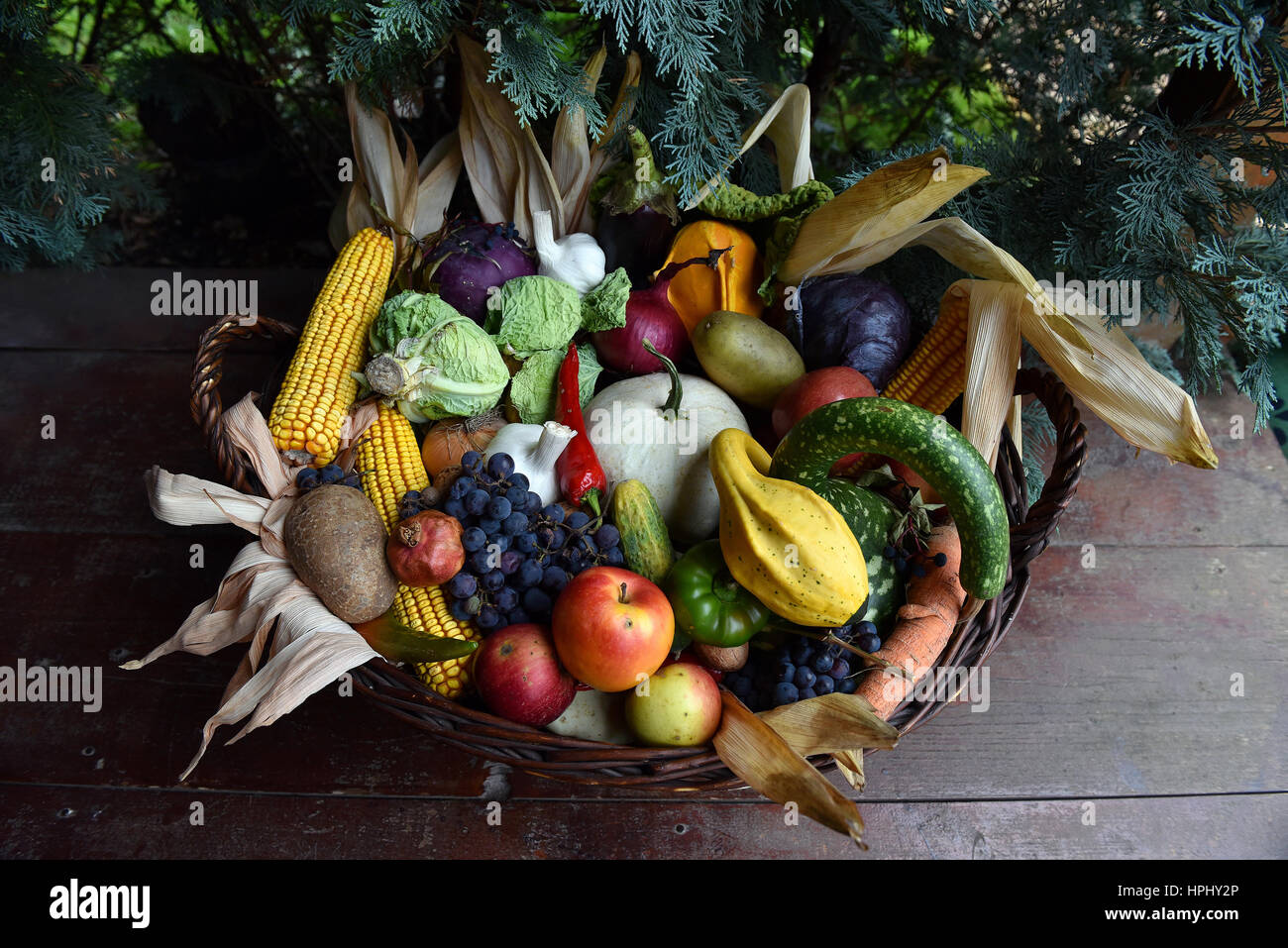 Basket of organic food vegetables, autumn goods after harvest Stock ...