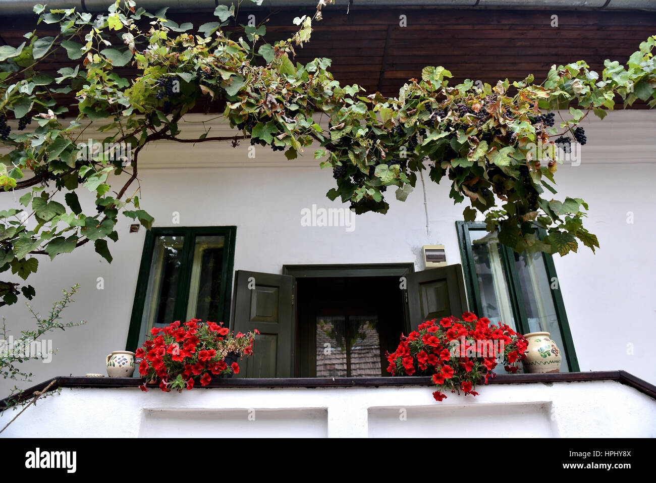 Rustic house with geraniums hi-res stock photography and images - Alamy