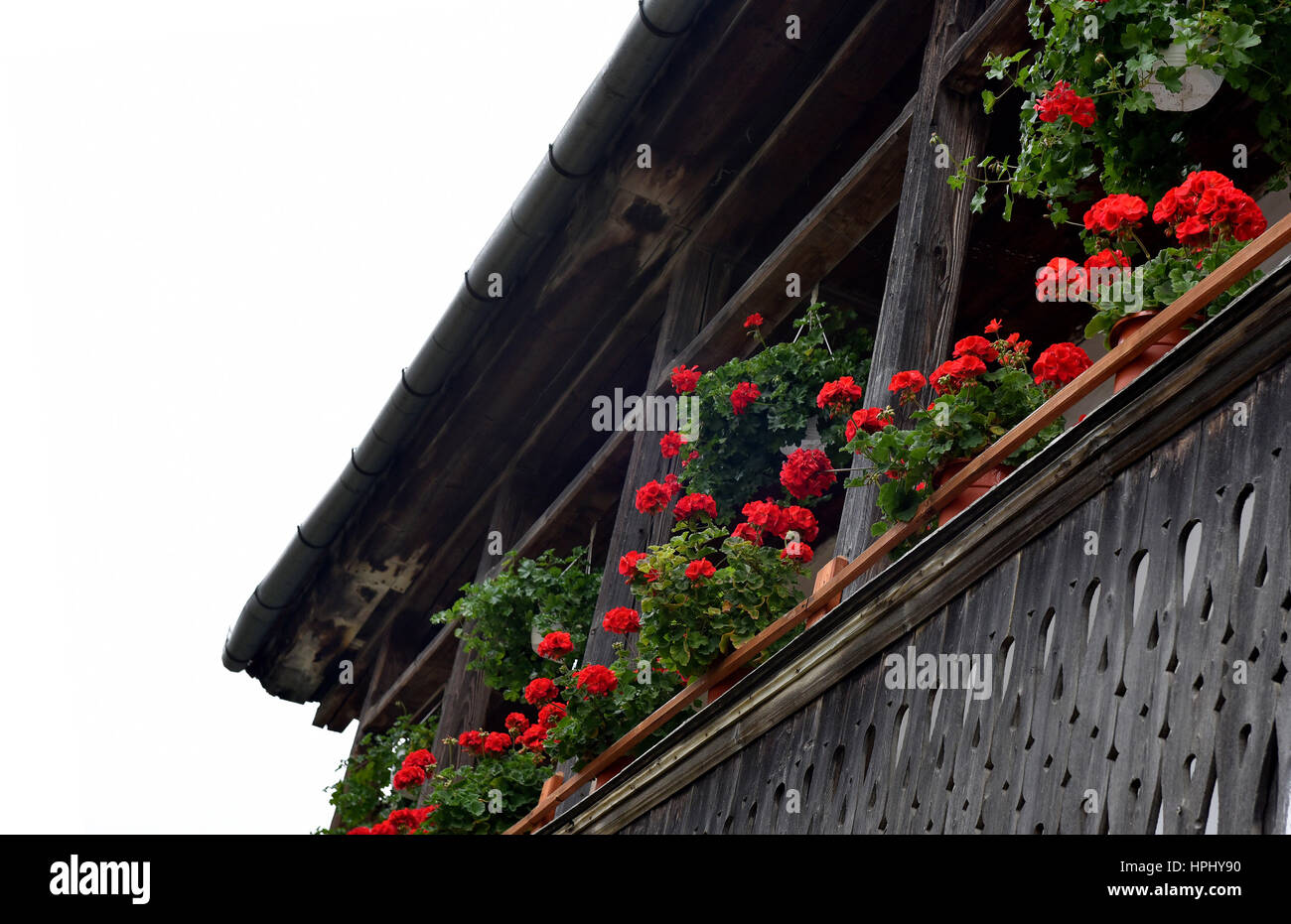 Rural house with red Geranium flowers in the porch Stock Photo - Alamy