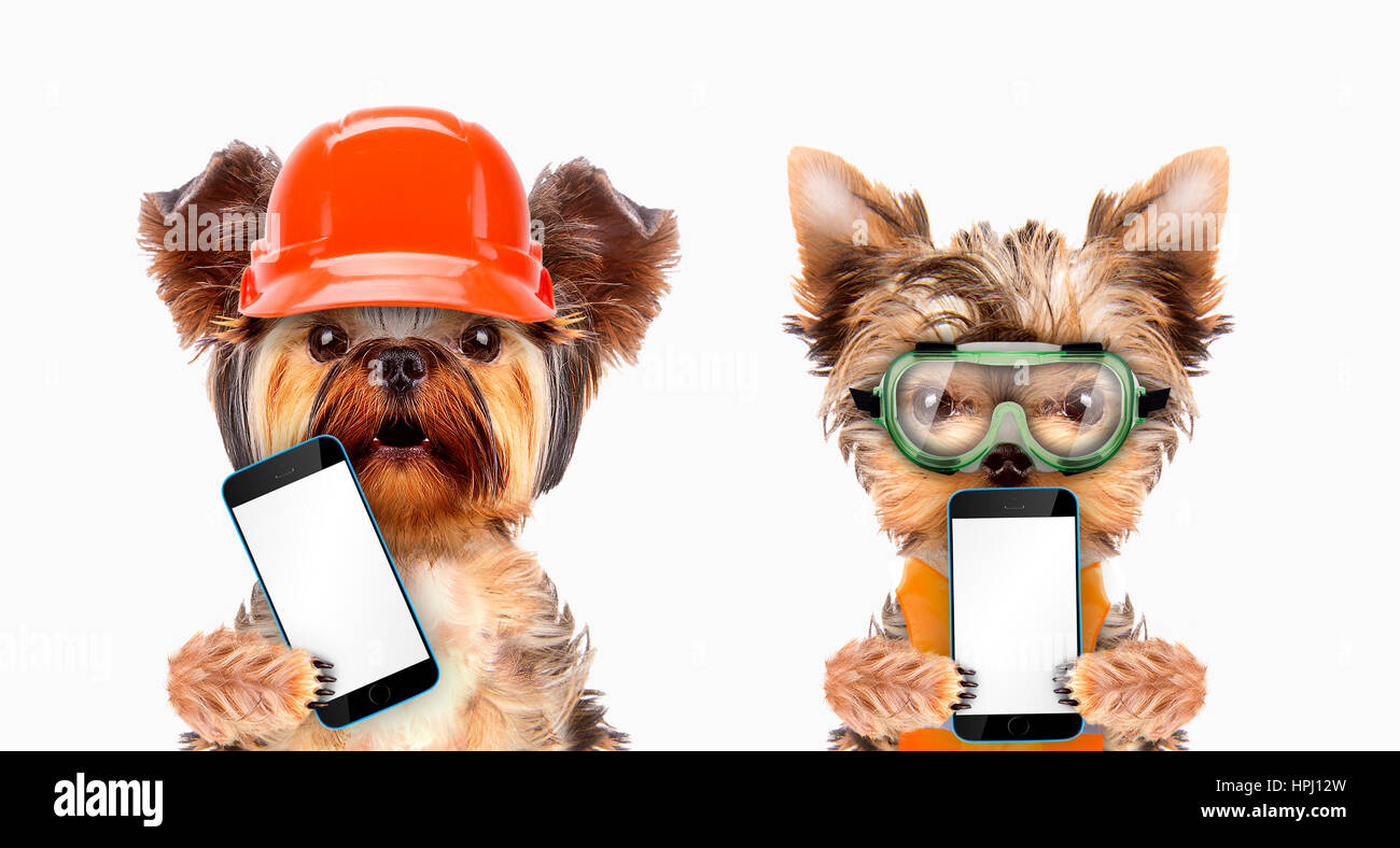 Repairman fixing broken computer Cut Out Stock Images & Pictures - Alamy