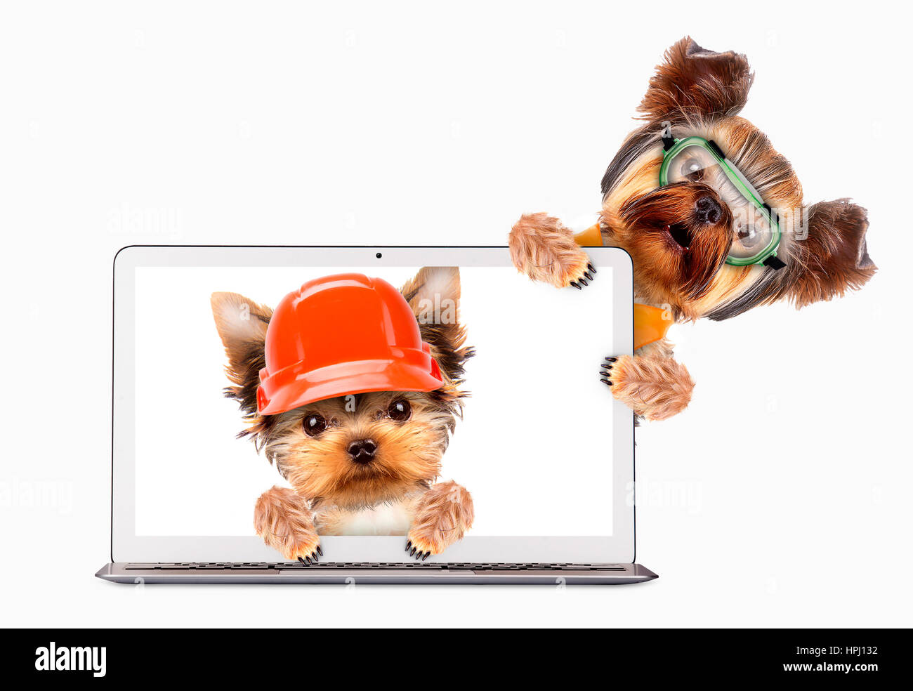 Repairman fixing broken computer Cut Out Stock Images & Pictures - Alamy