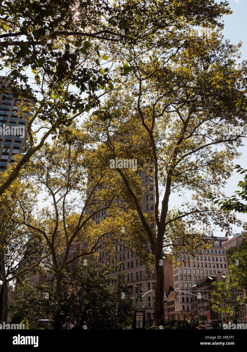 The Flatiron buidling in New York City is visible through a collection ...