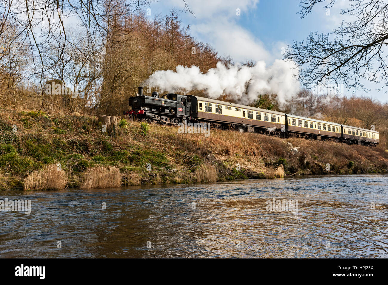 Dart valley railway hi-res stock photography and images - Alamy