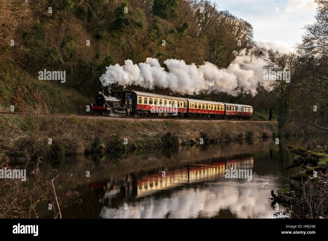 South Devon Steam Railway Stock Photo - Alamy