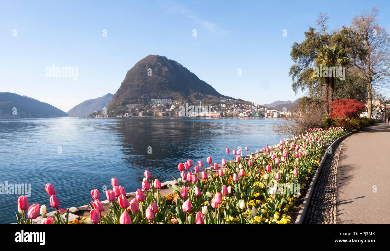 Lugano, Switzerland: Parco Ciani, city garden with fresh flowers of the ...