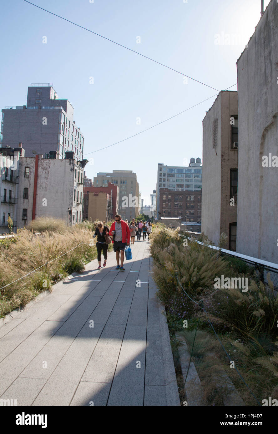 Scaffolding on building construction site from the High Line running ...