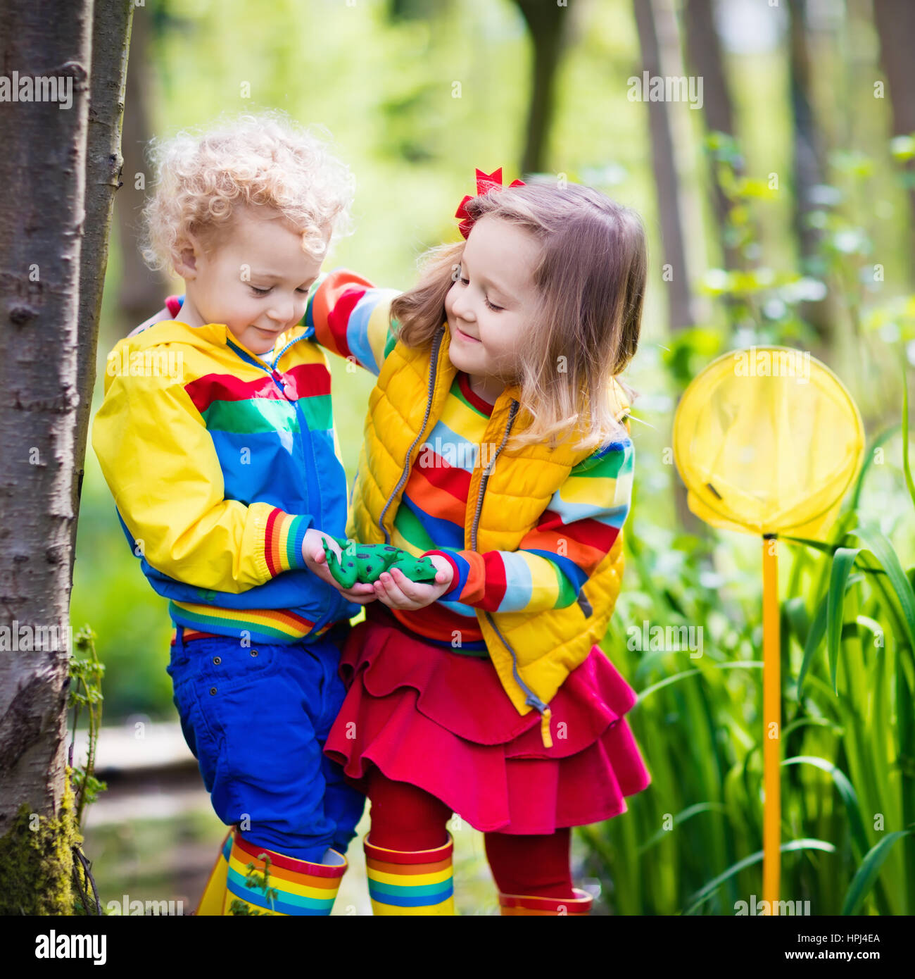 Children playing outdoors. Preschool kids catching frog with net. Boy ...