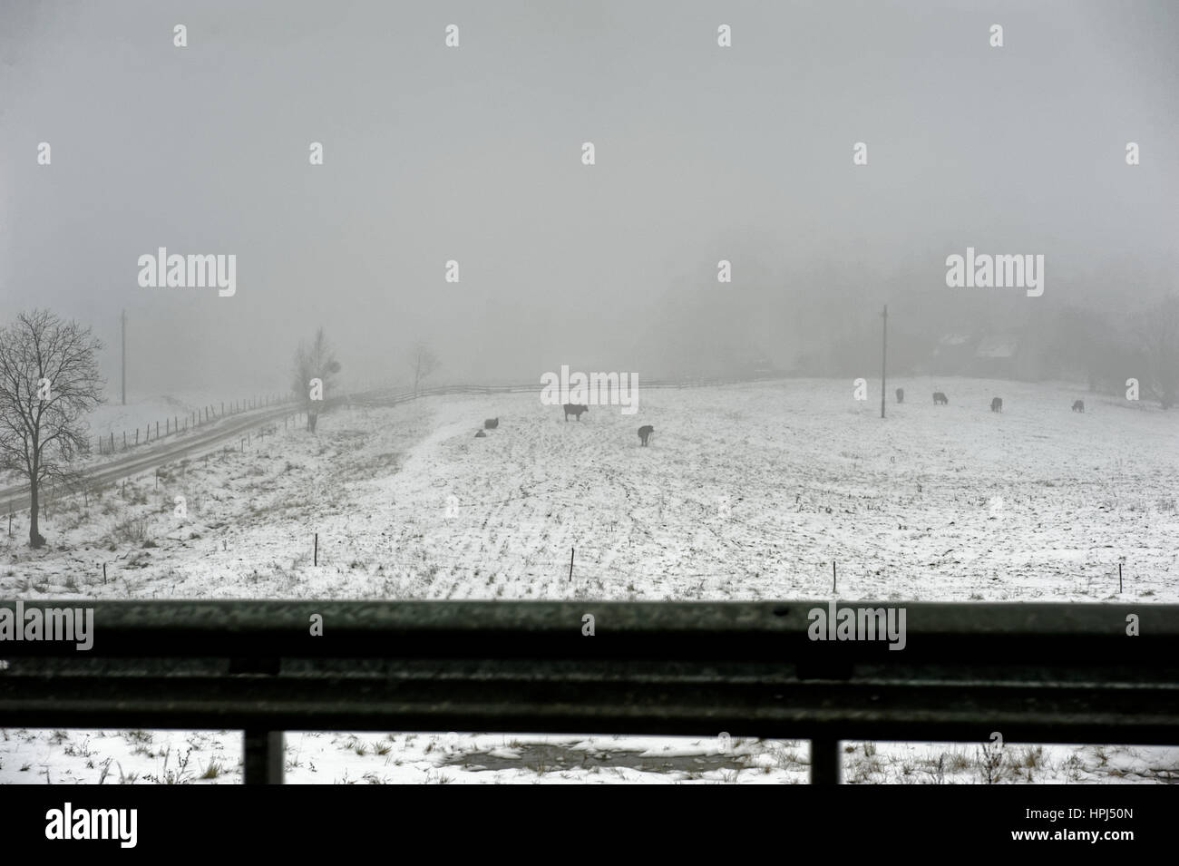 E67 road hi-res stock photography and images - Alamy