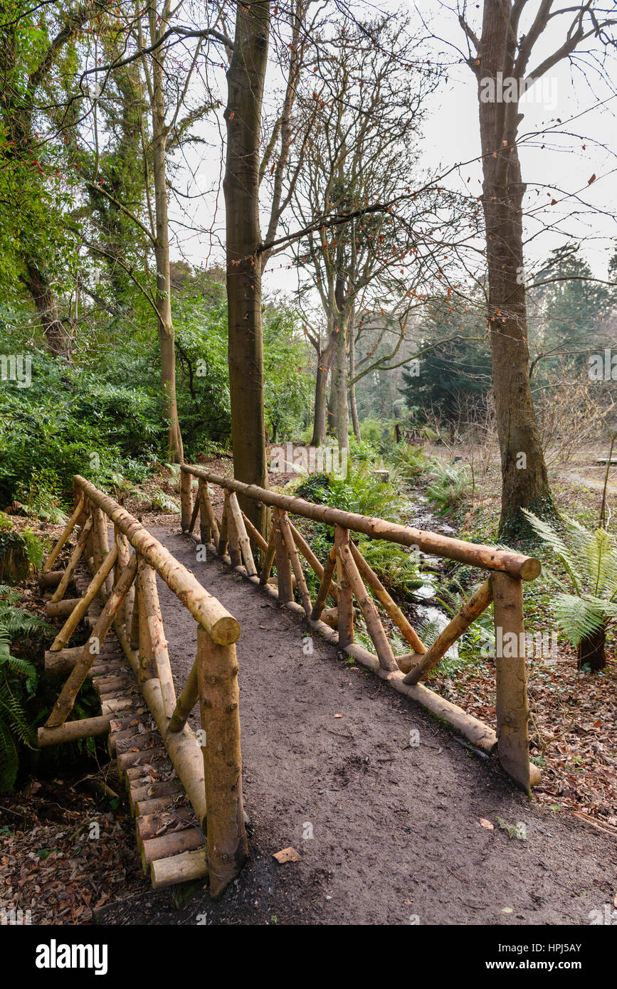 Wooden bridge over a small stream in a forest Stock Photo - Alamy