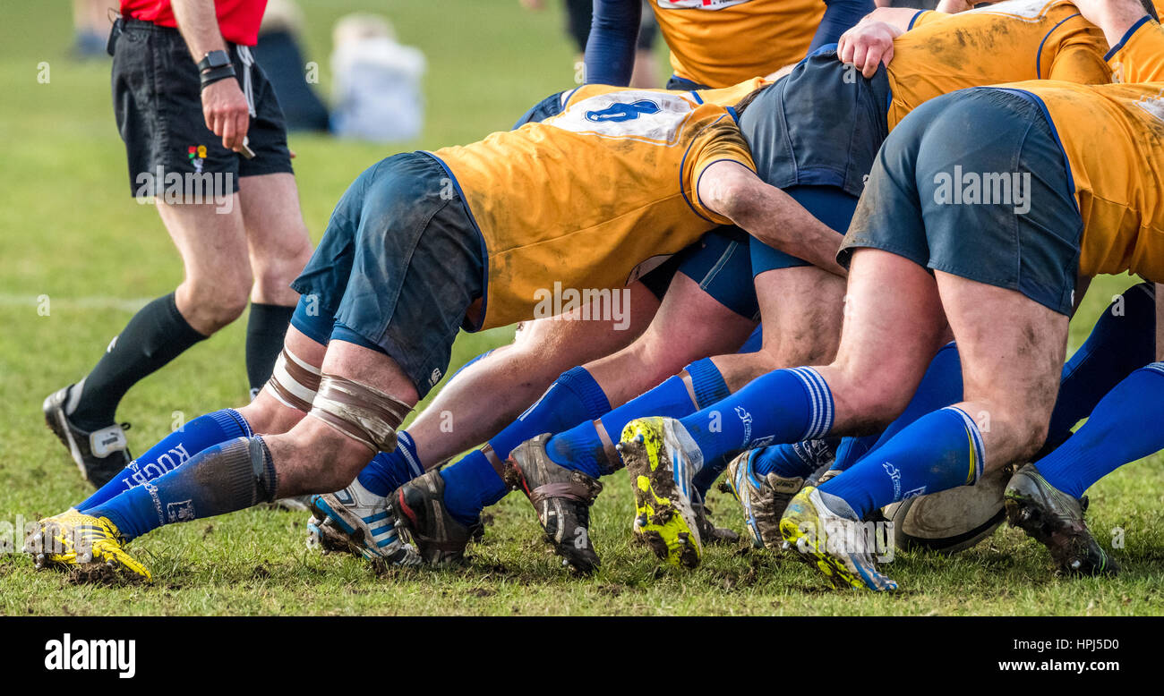 Rugby Players Legs High Resolution Stock Photography and Images - Alamy