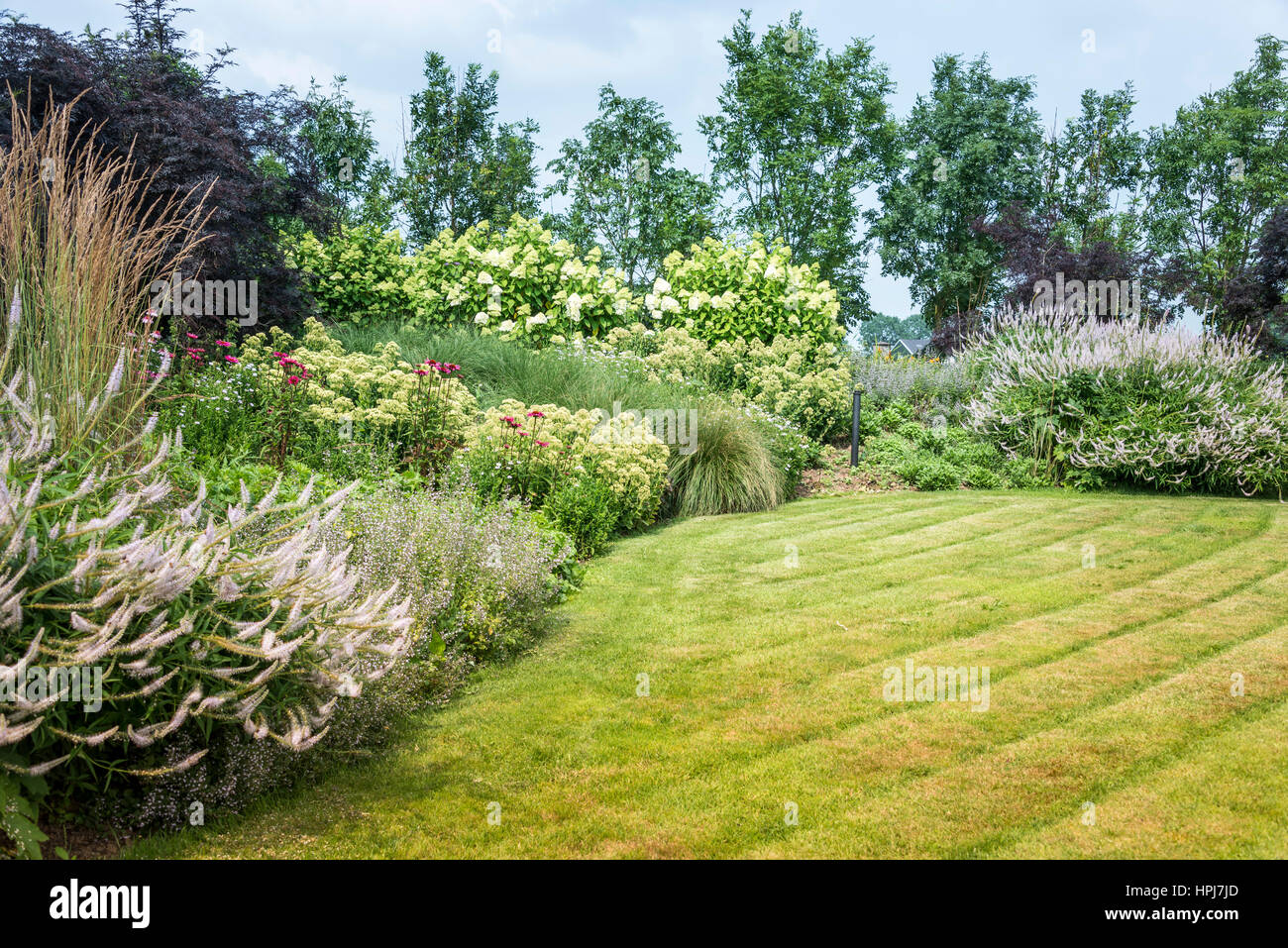 Big trees with flowers hi-res stock photography and images - Alamy