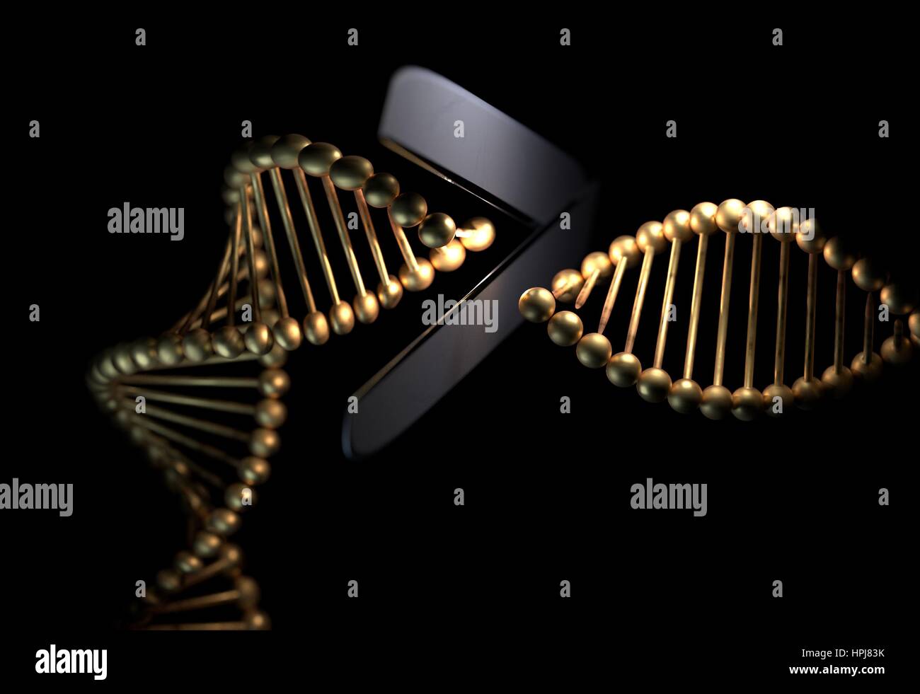 DNA strand in metal color cut with a scissor 3d render Stock Photo - Alamy