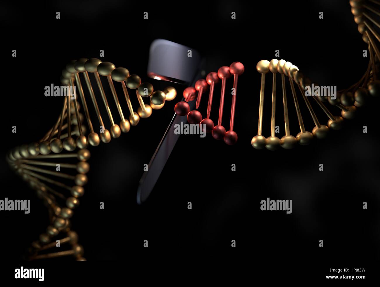DNA strand in metal color cut with a scissor 3d render Stock Photo - Alamy