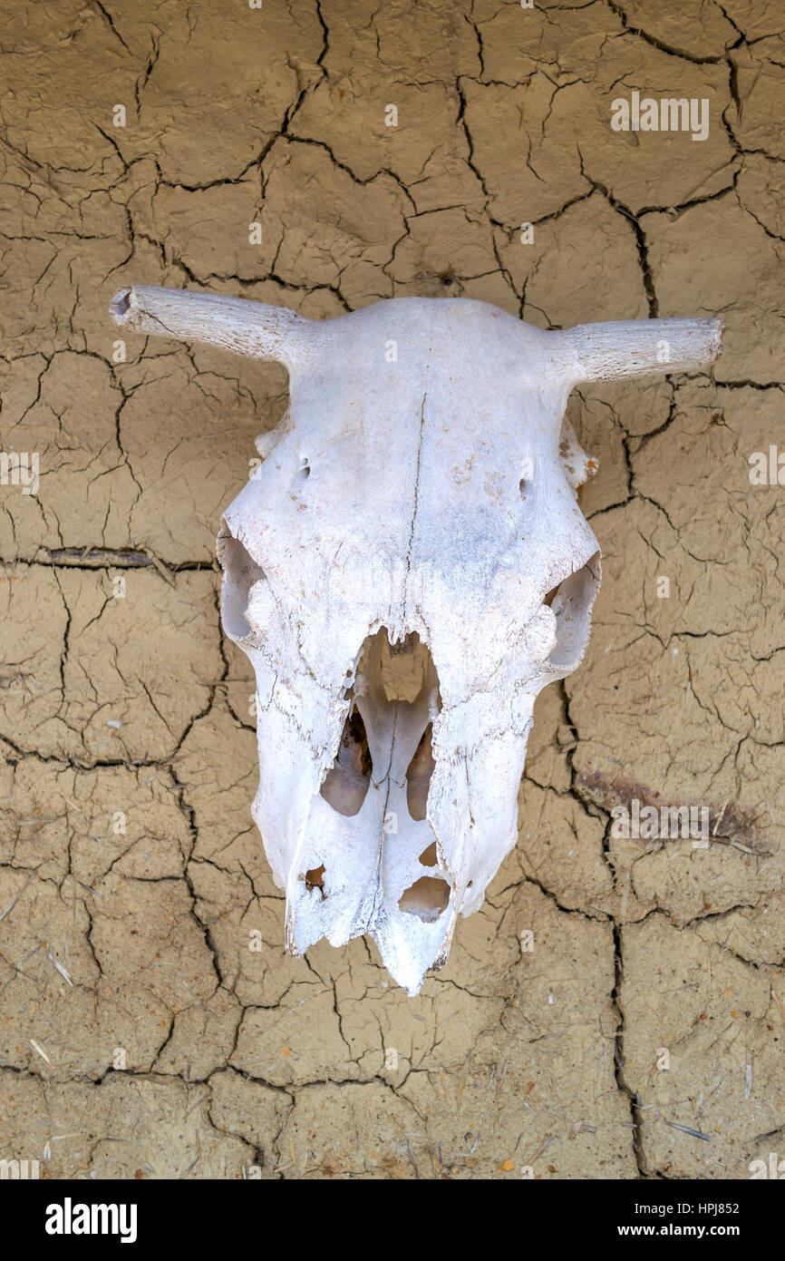 Death statue symbol dead skull hi-res stock photography and images - Alamy