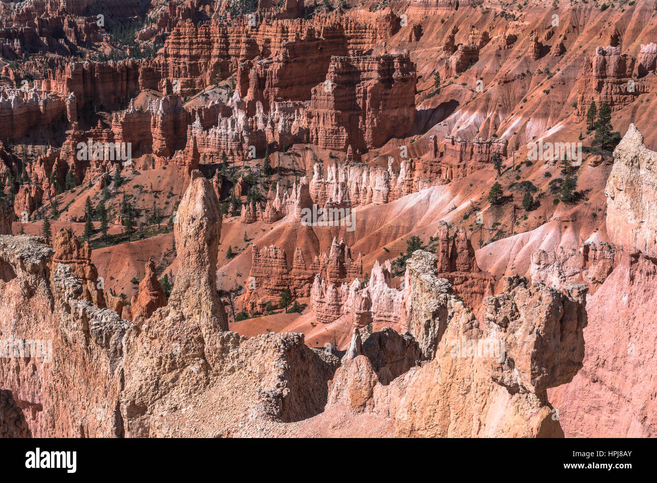 Bryce Canyon National Park, Utah Stock Photo - Alamy