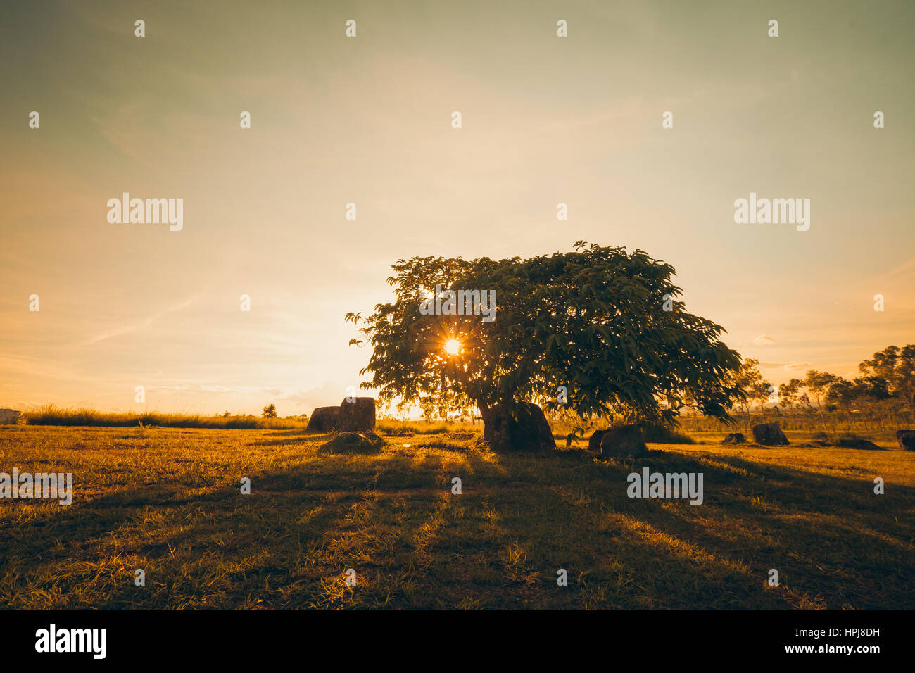 Plain of jars field hi-res stock photography and images - Alamy