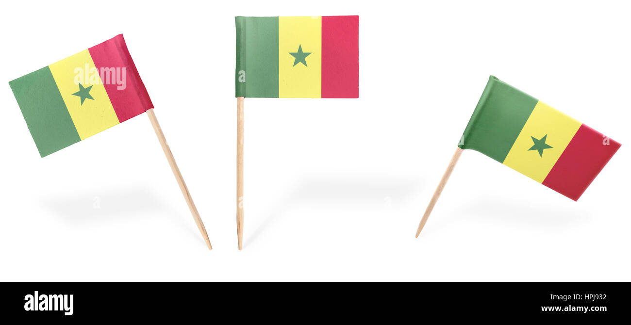 Small cocktail flags of Senegal in different positions isolated on ...