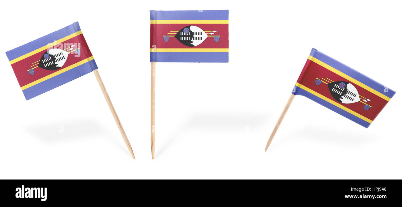 Small cocktail flags of Swaziland in different positions isolated on ...