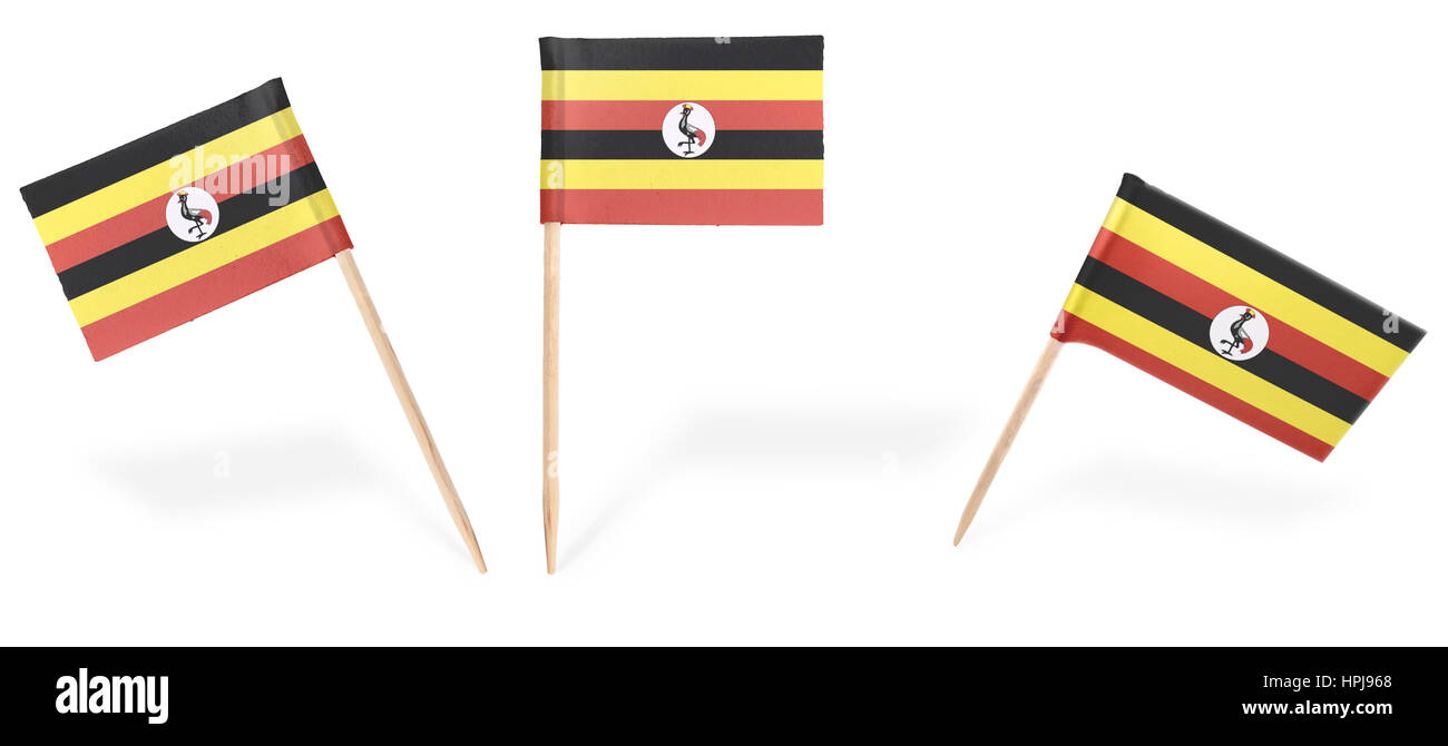 Small cocktail flags of Uganda in different positions isolated on white ...