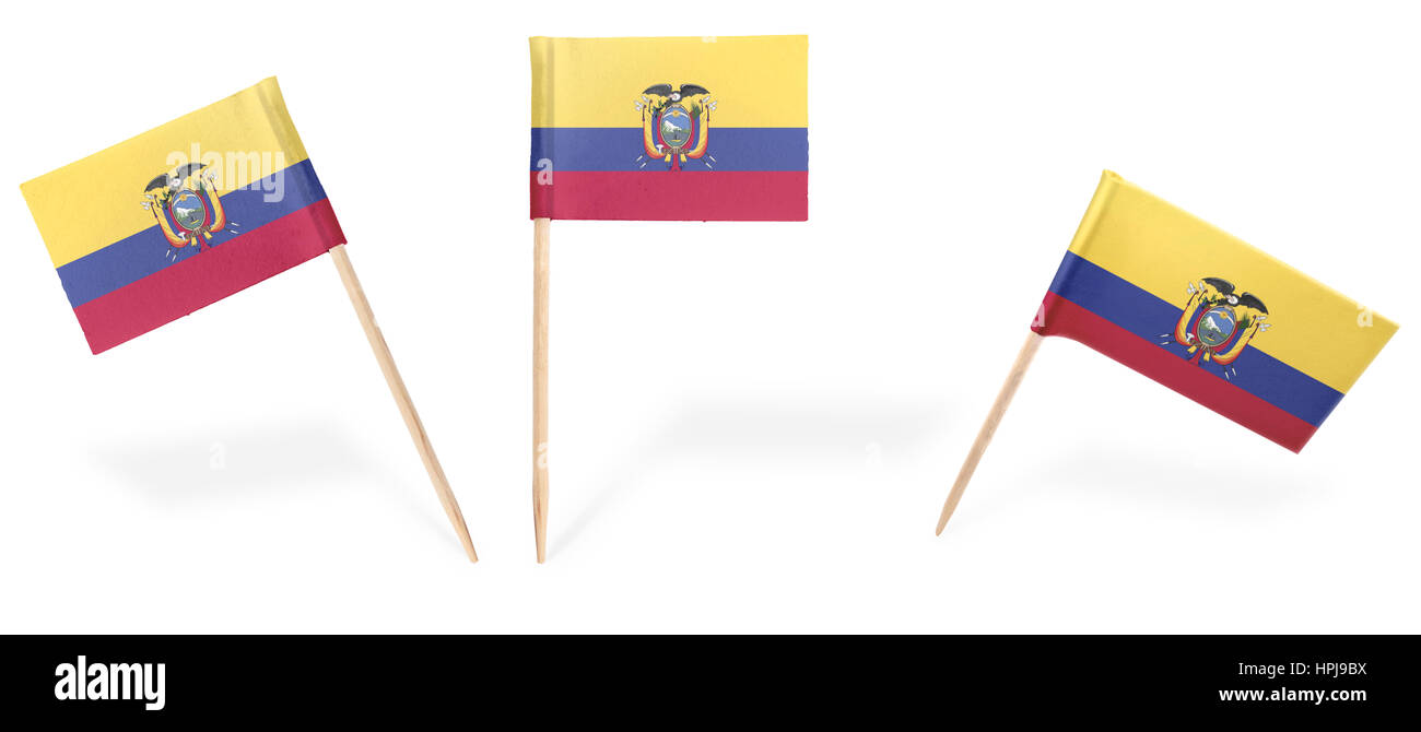 Small cocktail flags of Ecuador in different positions isolated on ...