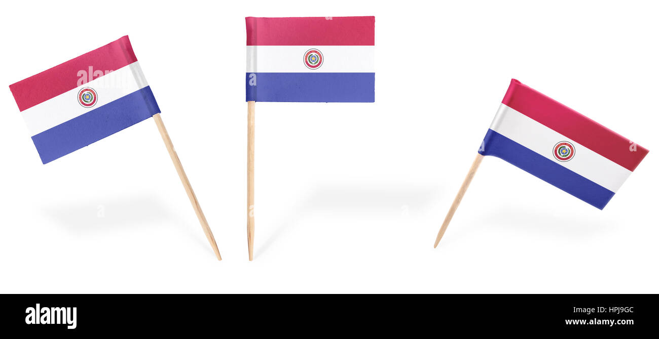 Small cocktail flags of Paraguay in different positions isolated on ...