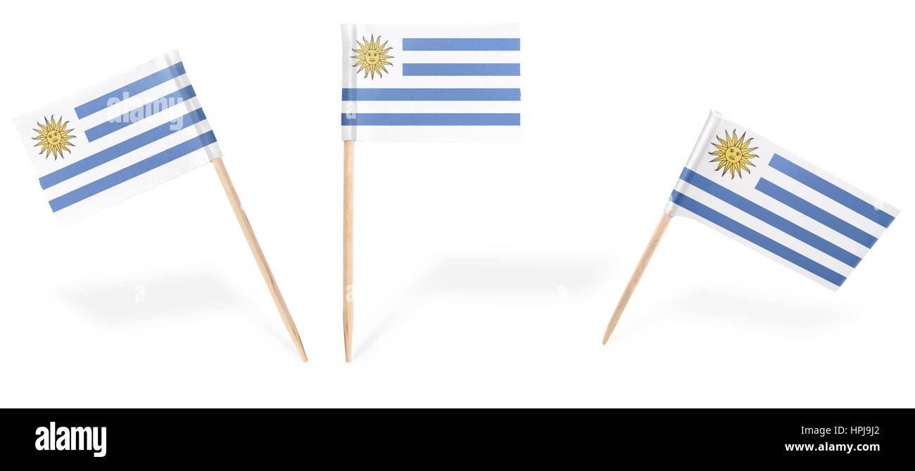 Small cocktail flags of Uruguay in different positions isolated on ...