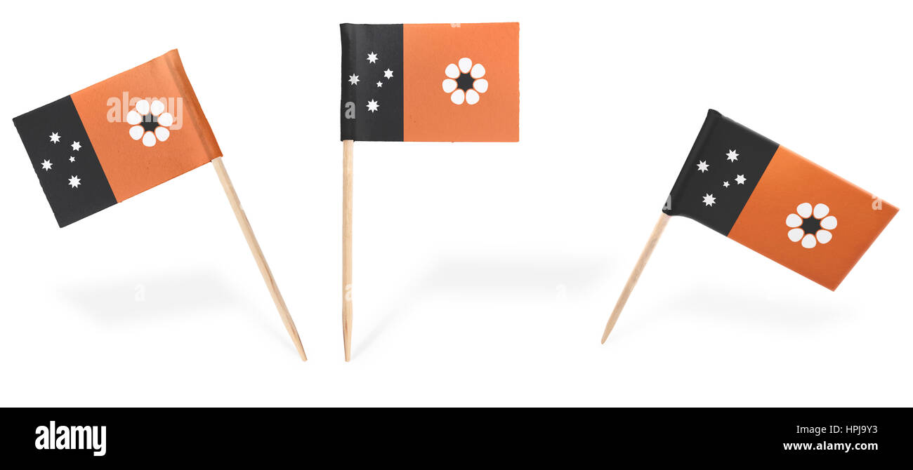 Small cocktail flags of NorthernTerritory in different positions ...