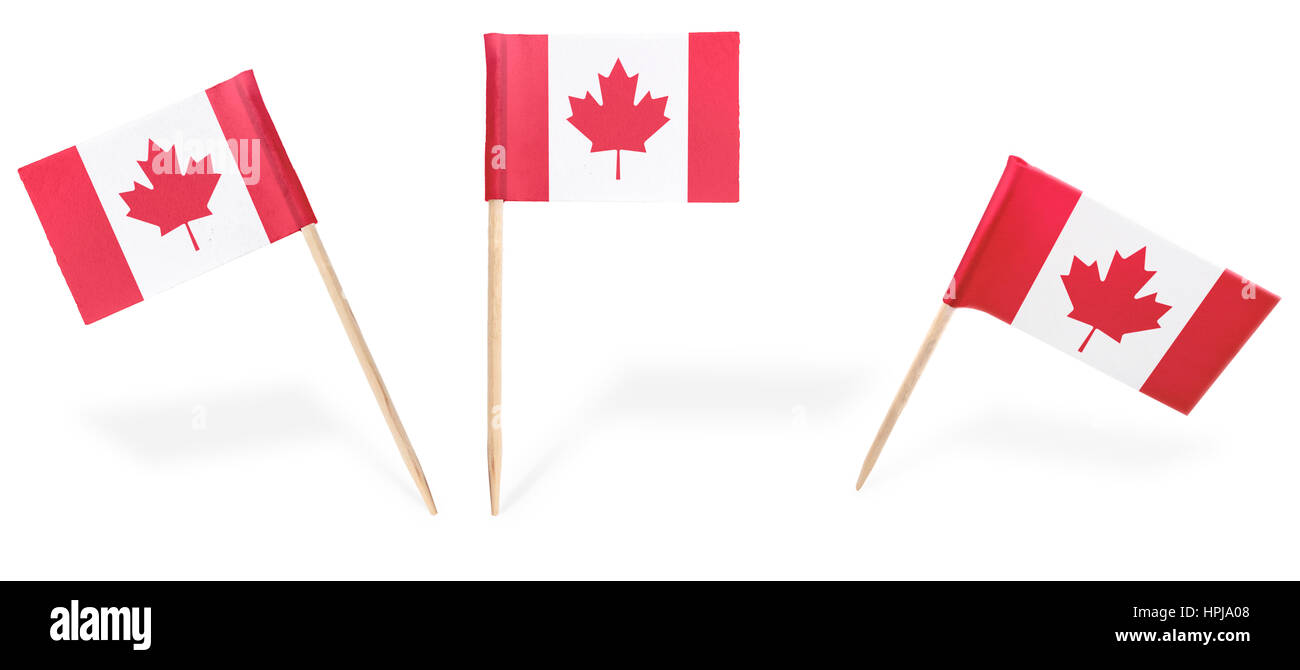 Small cocktail flags of Canada in different positions isolated on white ...