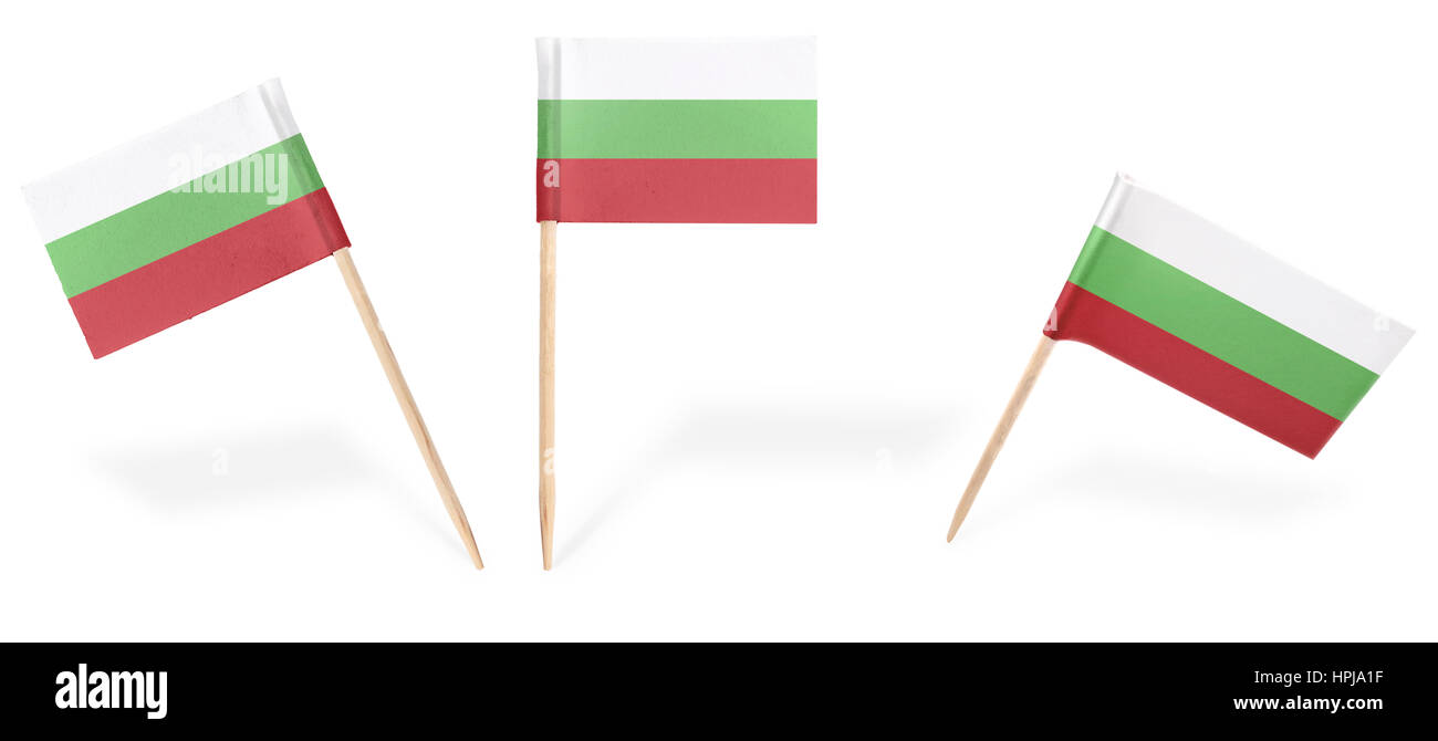 Small cocktail flags of Bulgaria in different positions isolated on ...