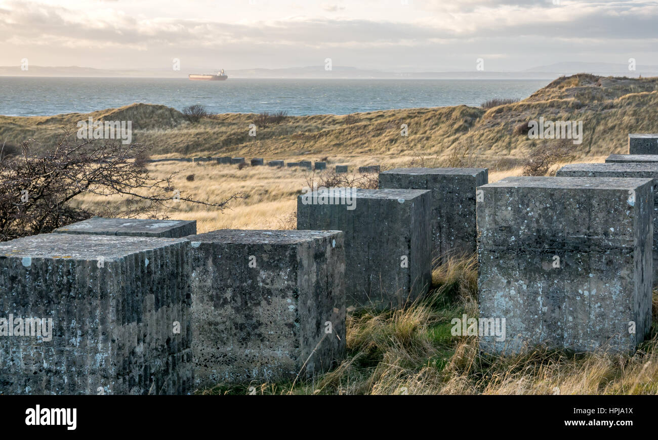 Rows of cube anti tank concrete blocks, WWII Coastal defence, Aberlady ...